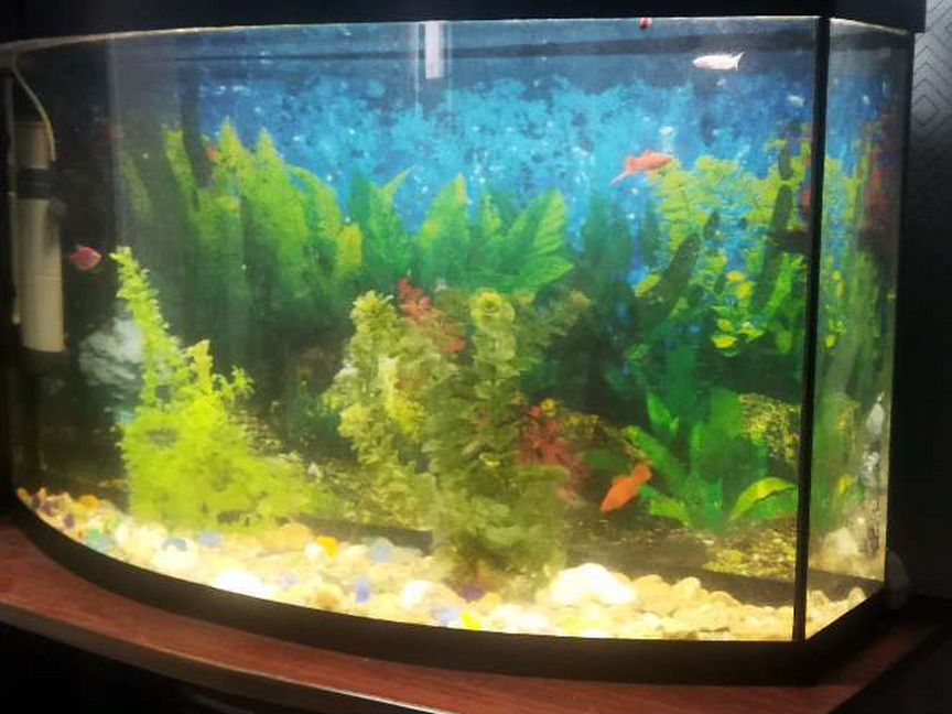 Аквариум