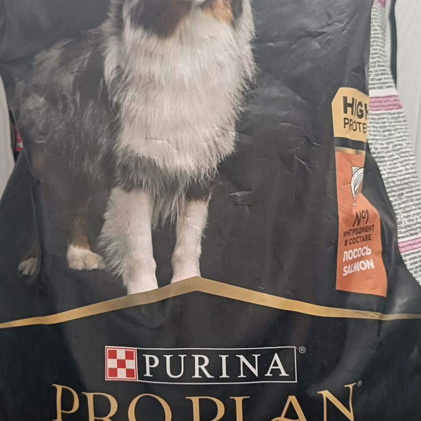 Сухой корм для собак Pro plan (Про план) с лососем