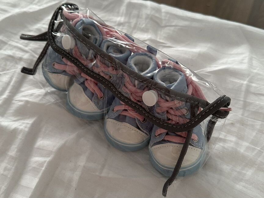 Обувь для собак