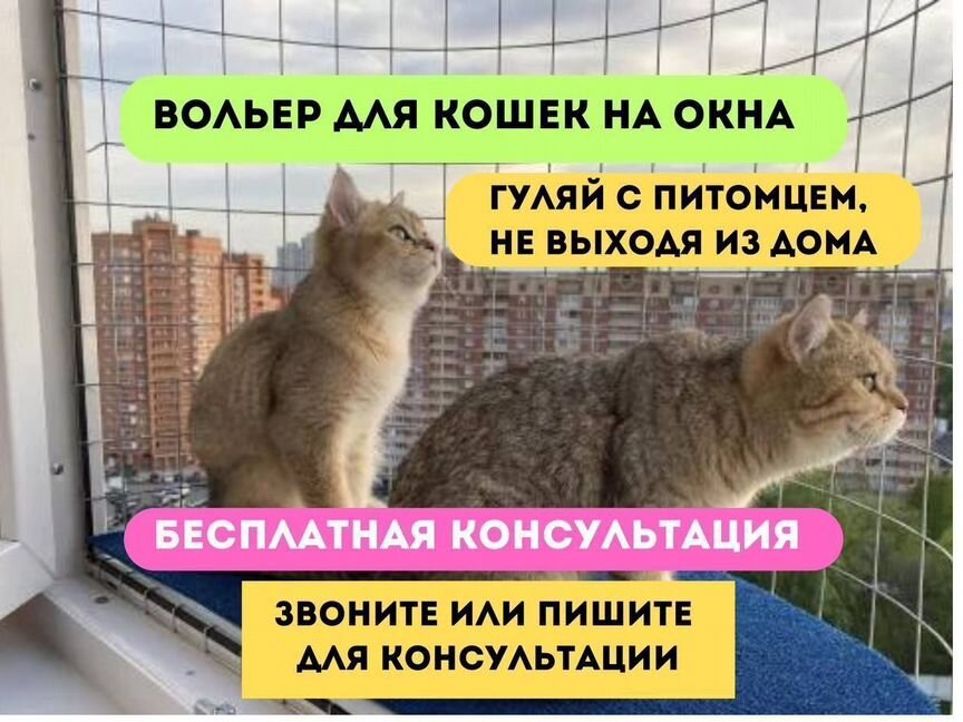Балкон для кошек