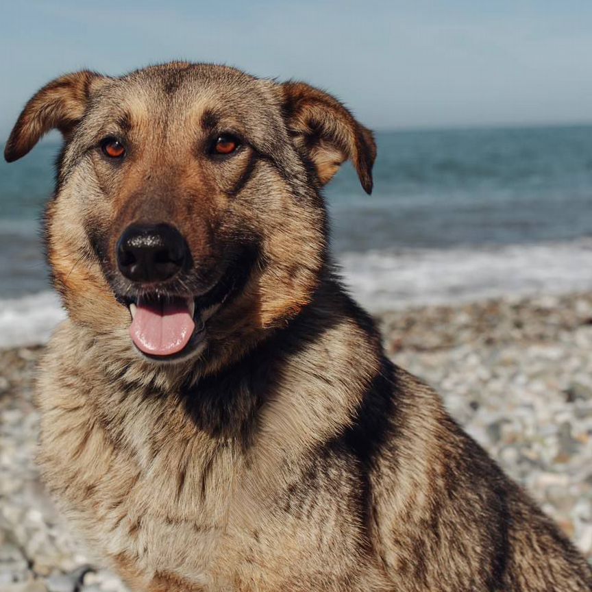 Королева фотосессии