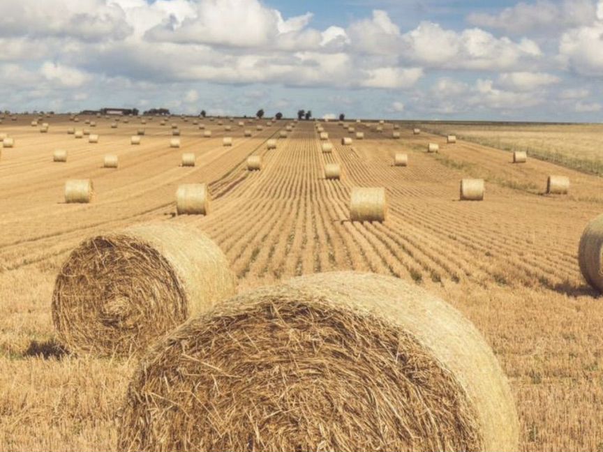 Солома в рулонах