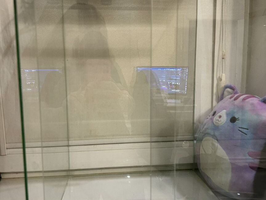 Террариум для хамелеона