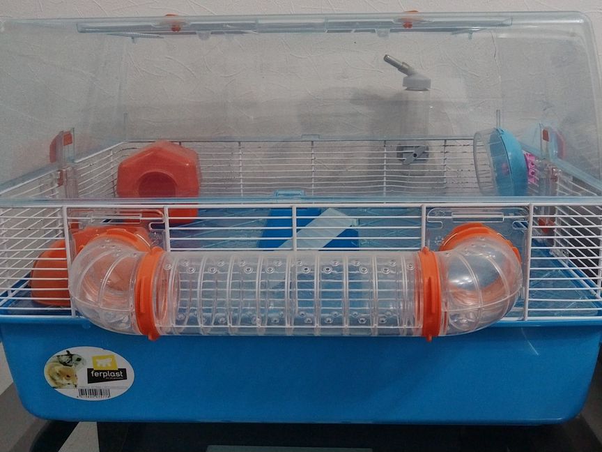 Клетка для хомяка бу