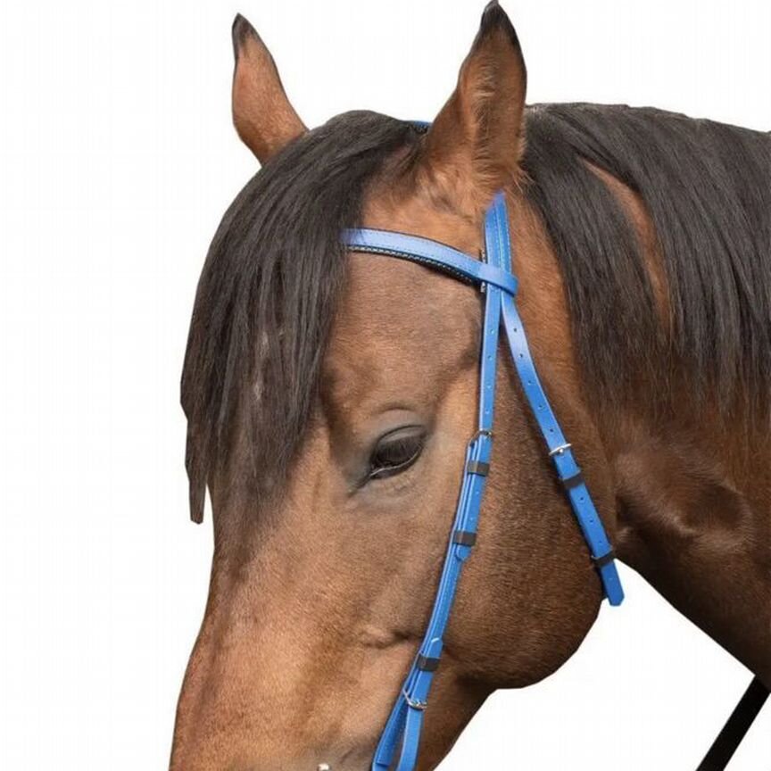 Уздечка для лошади