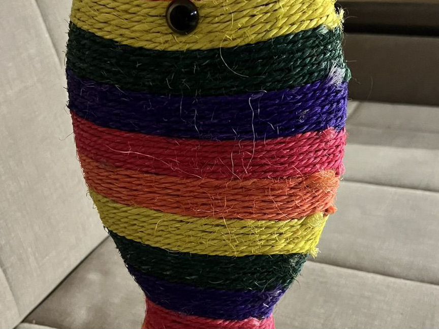 Когтеточка рыба сизаль