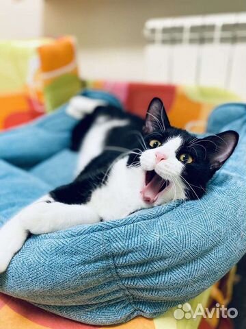 Шумахер ураган энергии и позитива