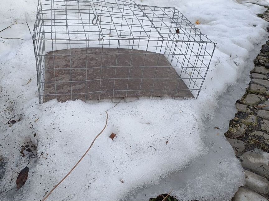 Клетка для перевозки птицы(куры, утки)