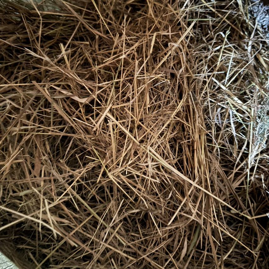 Сено в мешках