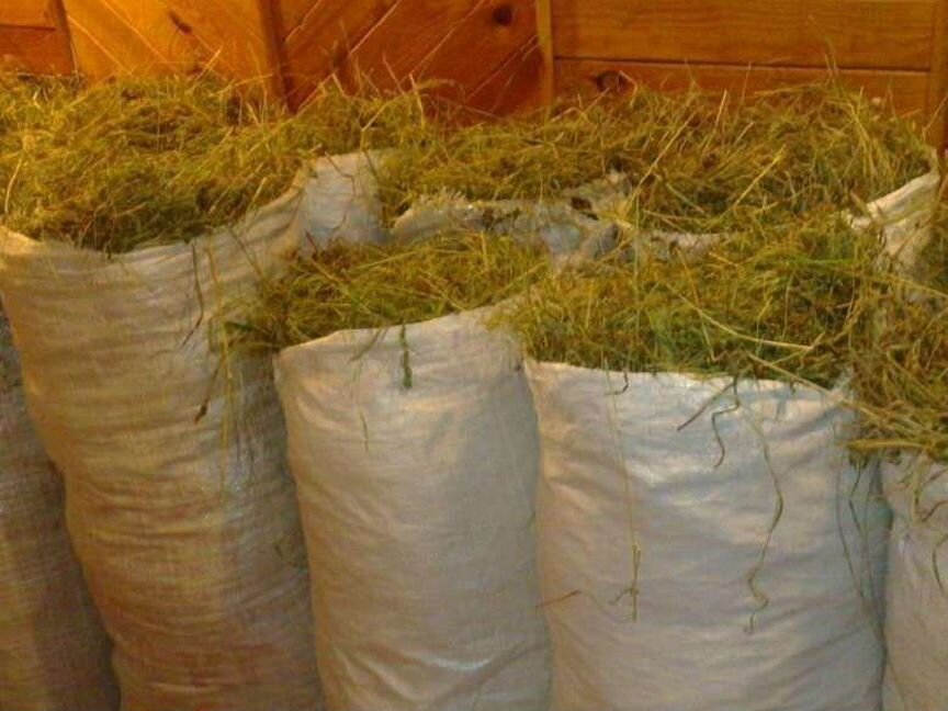 Сено в мешках на подстилку собакам