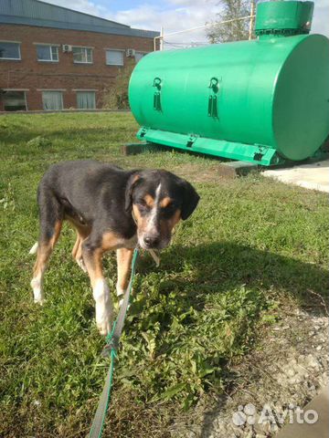 Спасен из черного поиюта