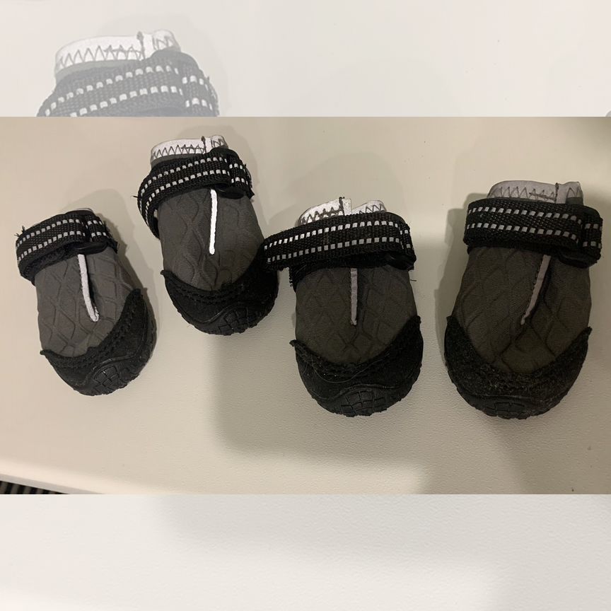 Обувь для собаки