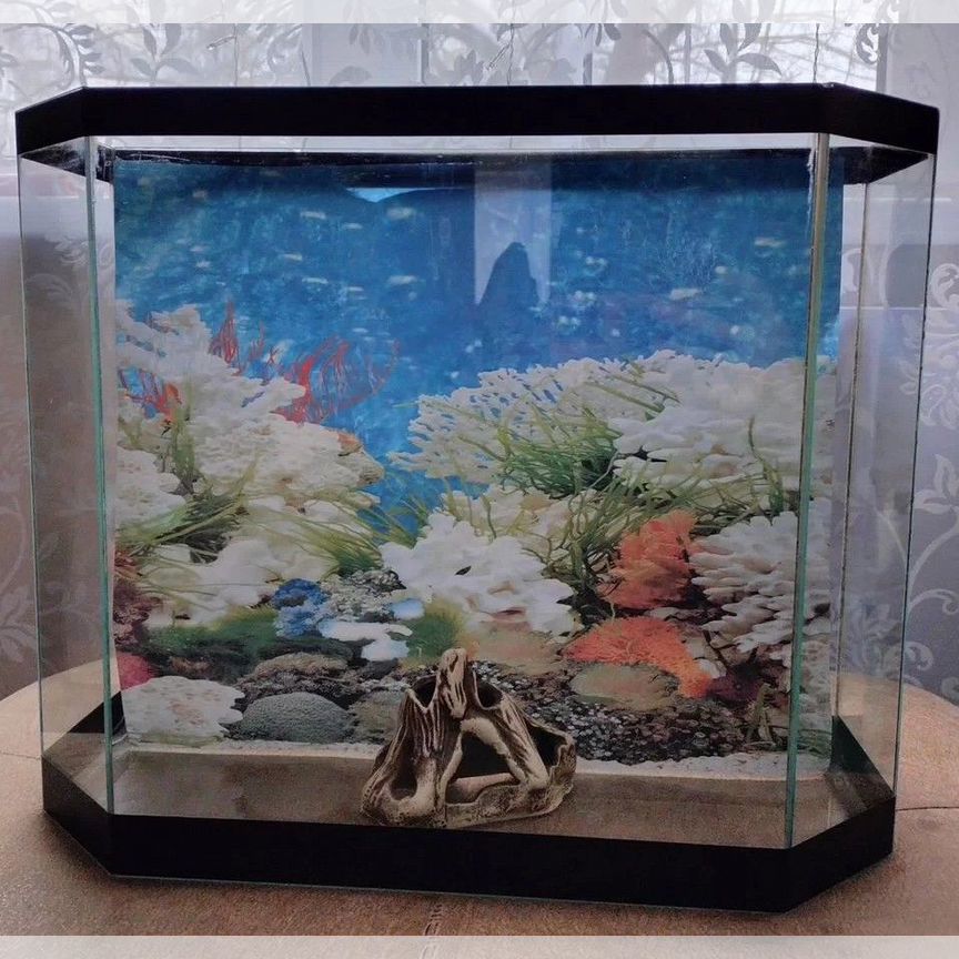 Аквариум панорама 26 литров