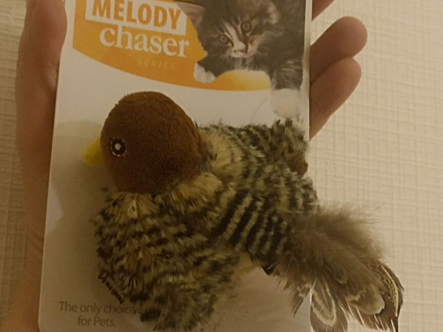 Птичка со звуковым чипом