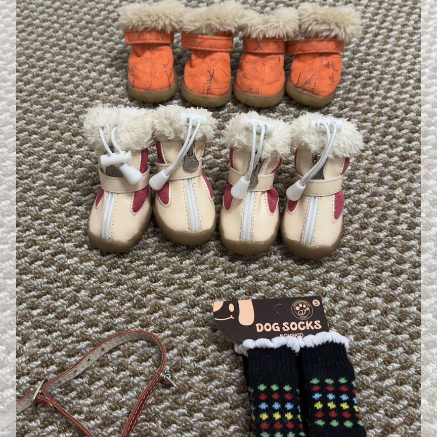 Одежда и обувь для собак