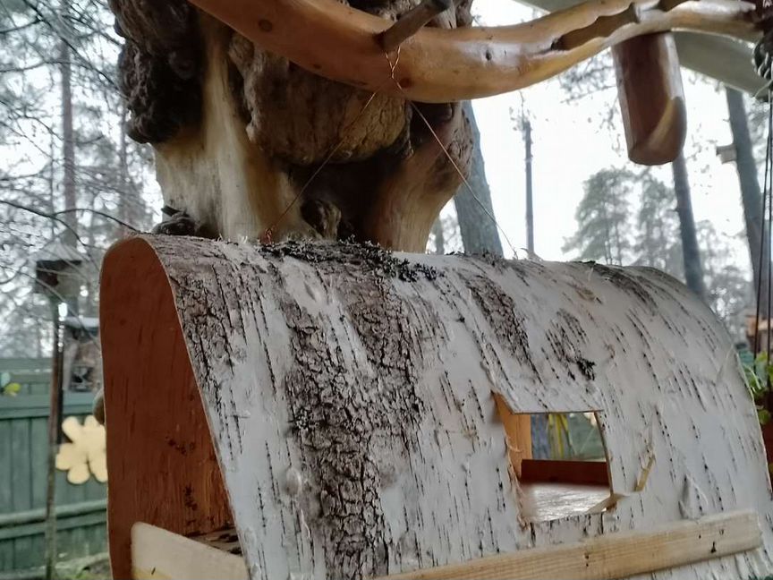 Кормушки для братьев наших меньших