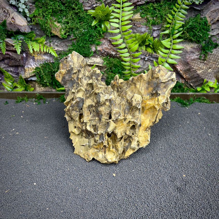 Камни для аквариума / Драконий камень (кам53)