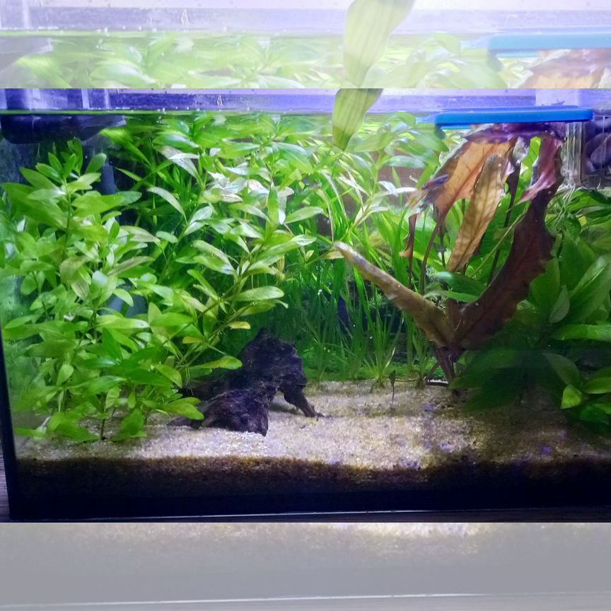 Аквариум 25 литров