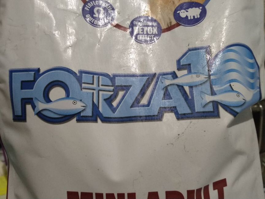 Корм для собак