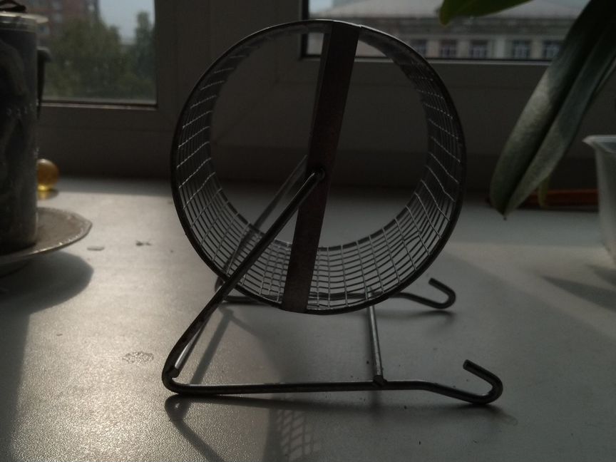 Колесо для хомяков джунгариков