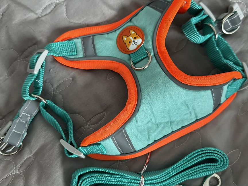 Шлейка для собаки