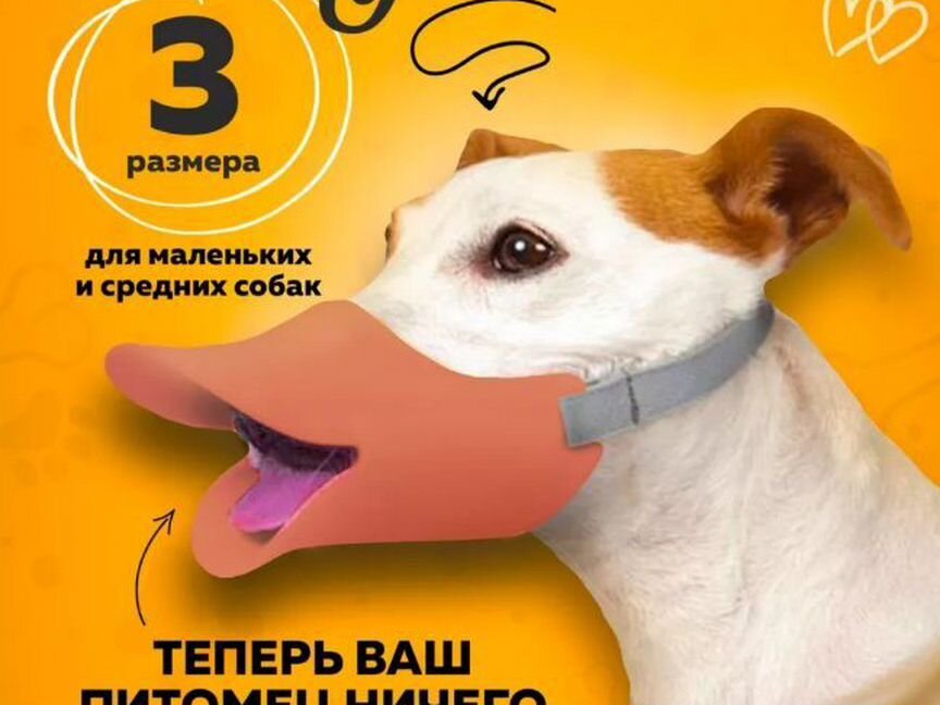 Намордник уточка для маленькой собаки