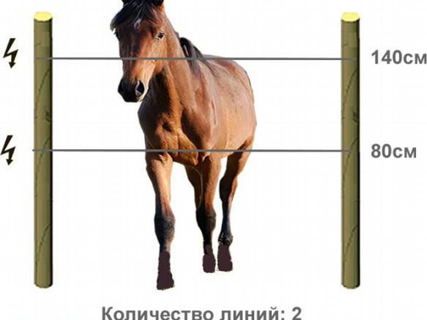 Электропастух для лошадей, овец, оленей, медведя
