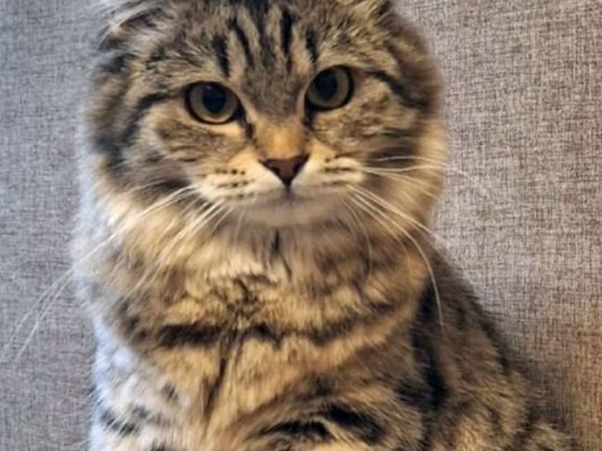 Милая малышка Шкодница-4,5месяца