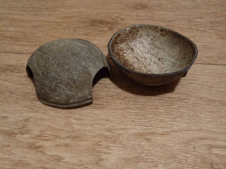 Домики для рыб из кокоса, и ракушки