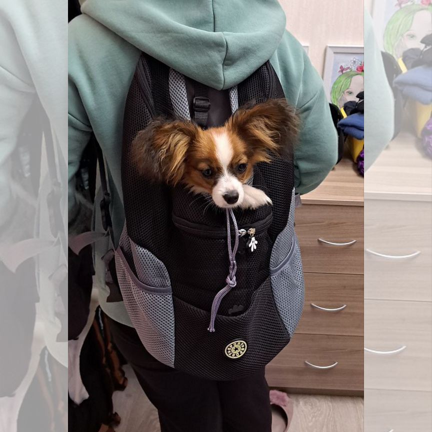 Рюкзак переноска для животных