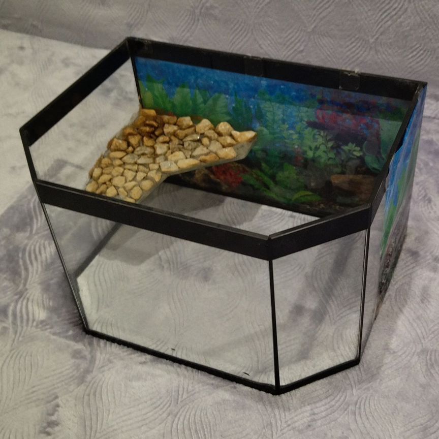 Аквариум для водоплав-их черепашек(улиток ахатин)