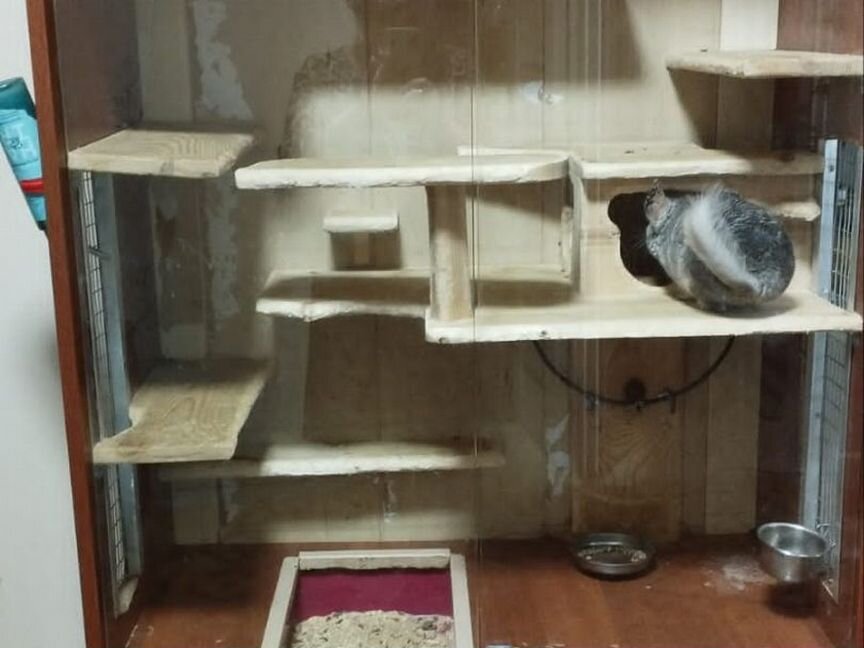 Витрина для шиншилл бу