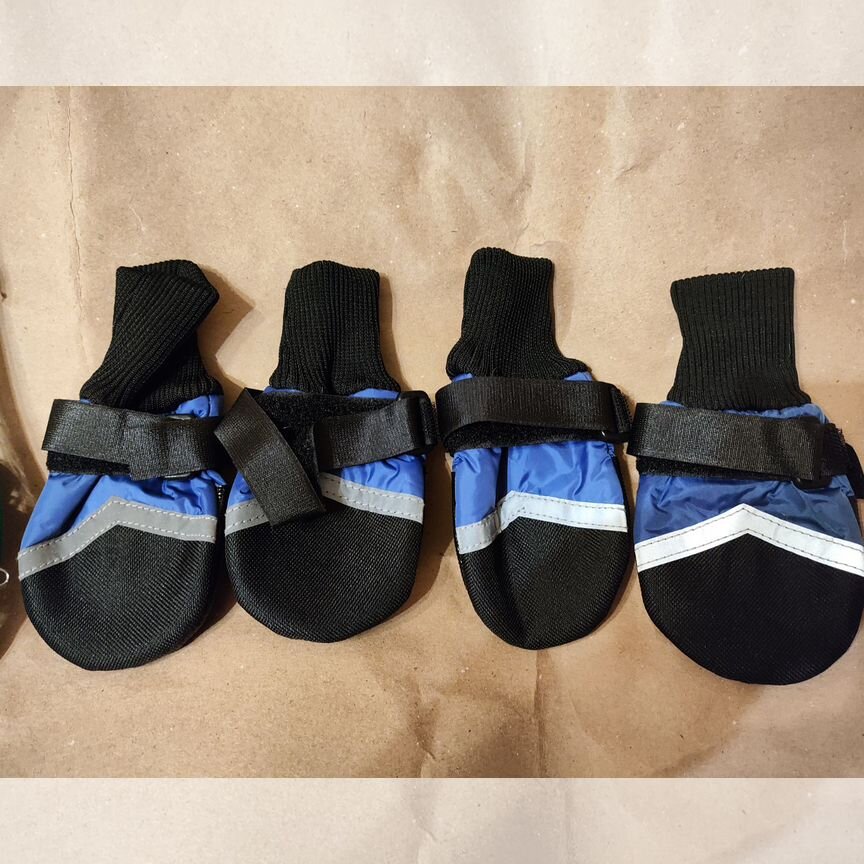 Ботинки для собак