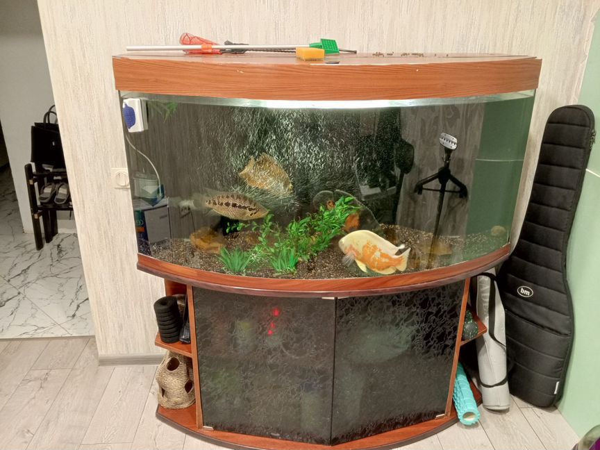 Аквариум с тумбой 350 литров