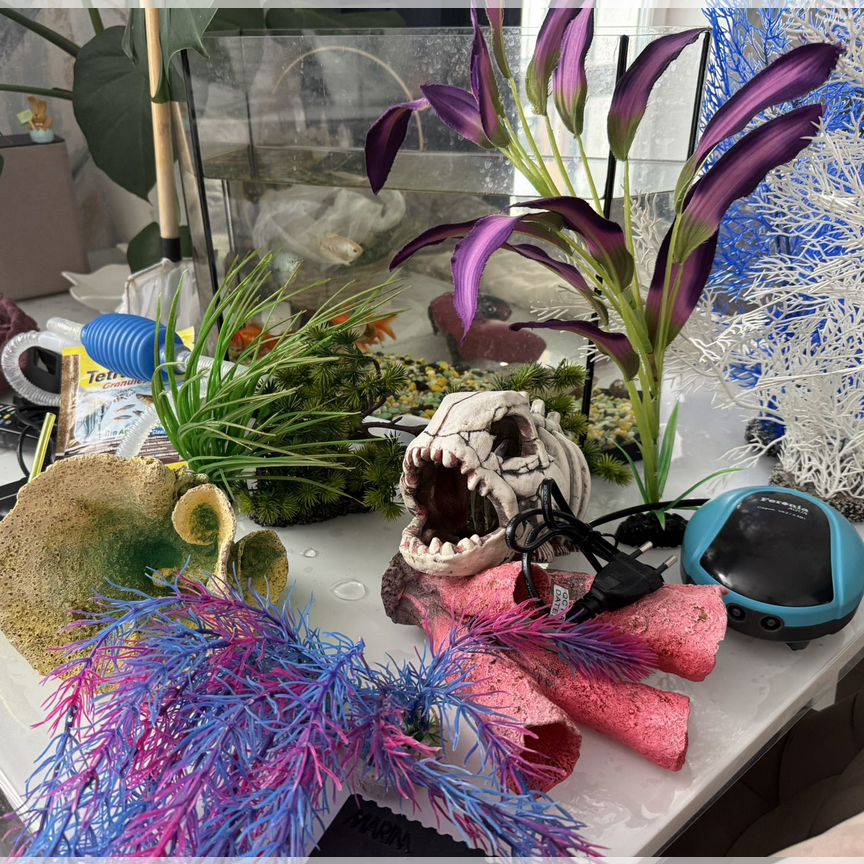 Набор аквариумный