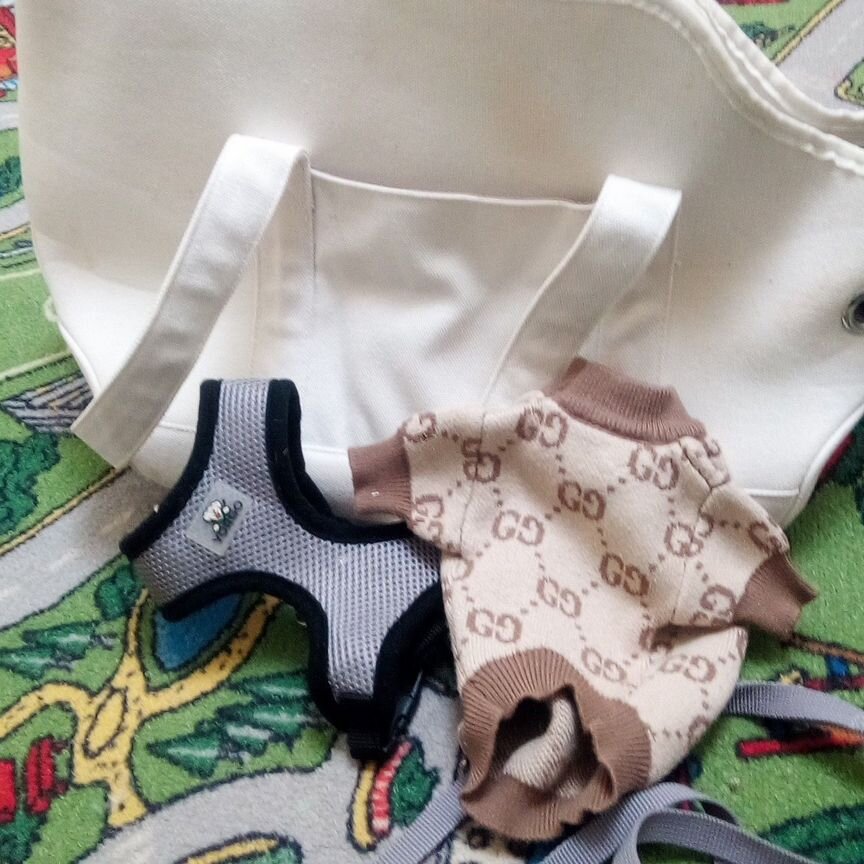 Переноска, шлейка, пальто для мелкого питомца