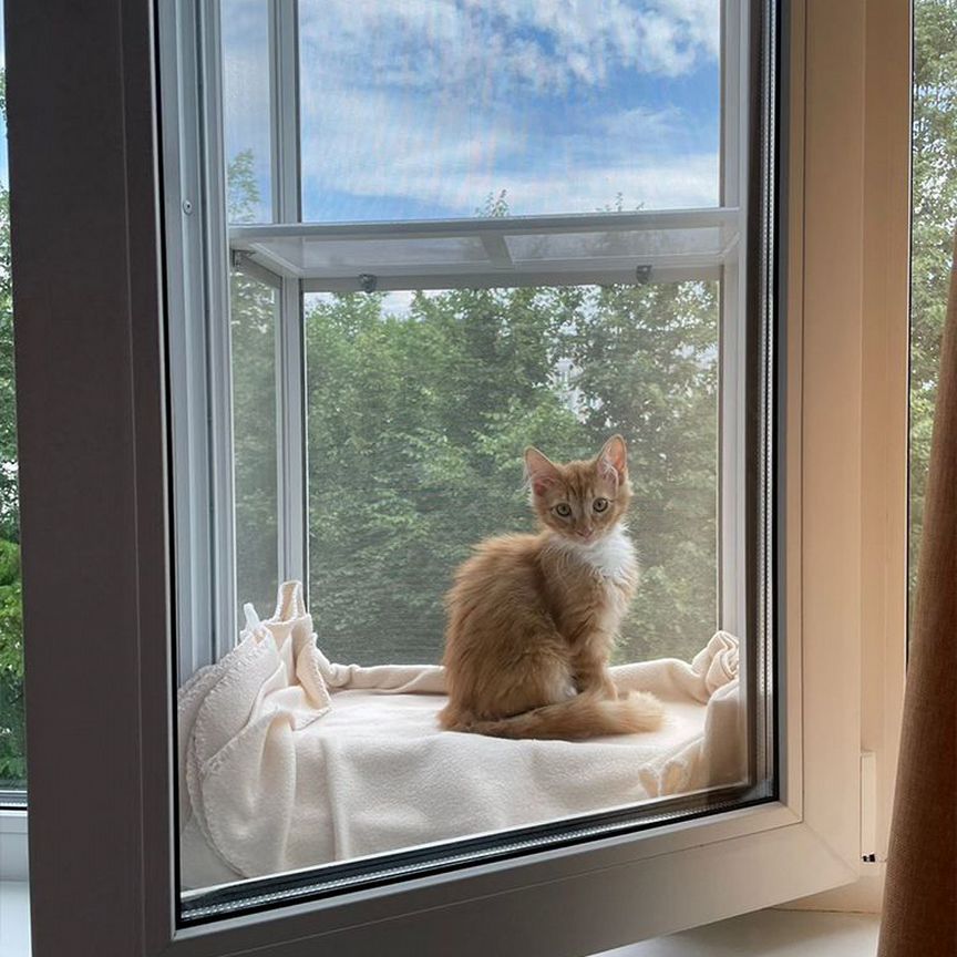 Балкон для кошек с сеткой "Антикошка"