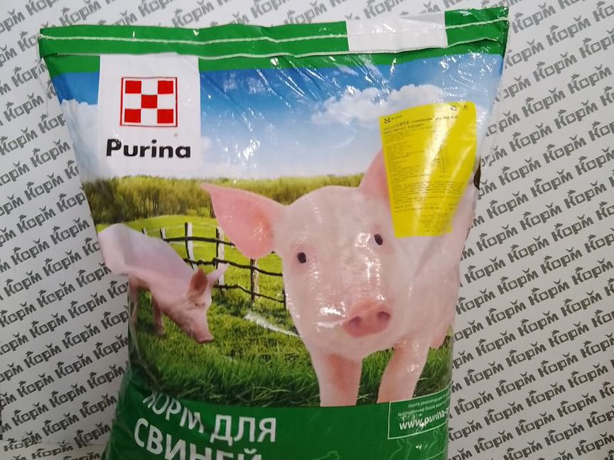 Комбикорм Пурина для поросят