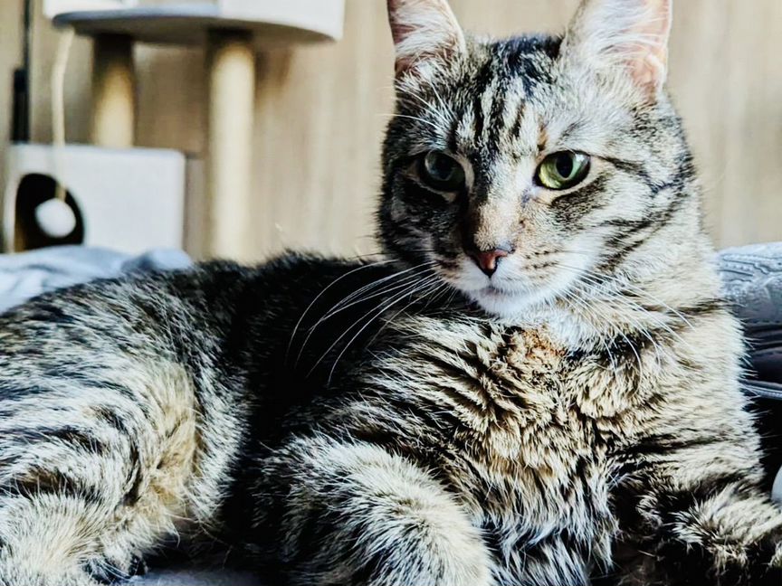 Зеленоглазая малышка