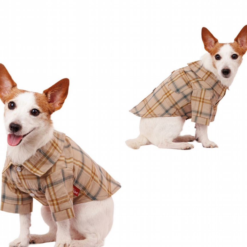 Рубашка для собаки