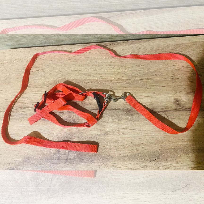 Шлейка для кошки