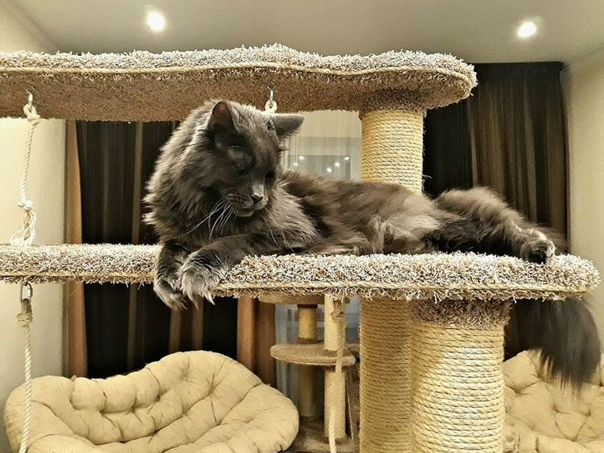 Комплекс-домик-когтеточка