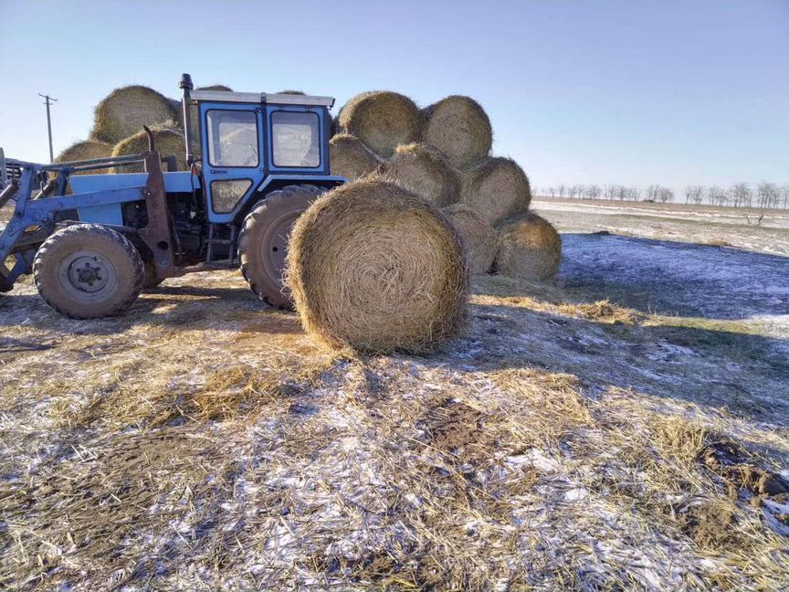 Продажа солома в рулонах