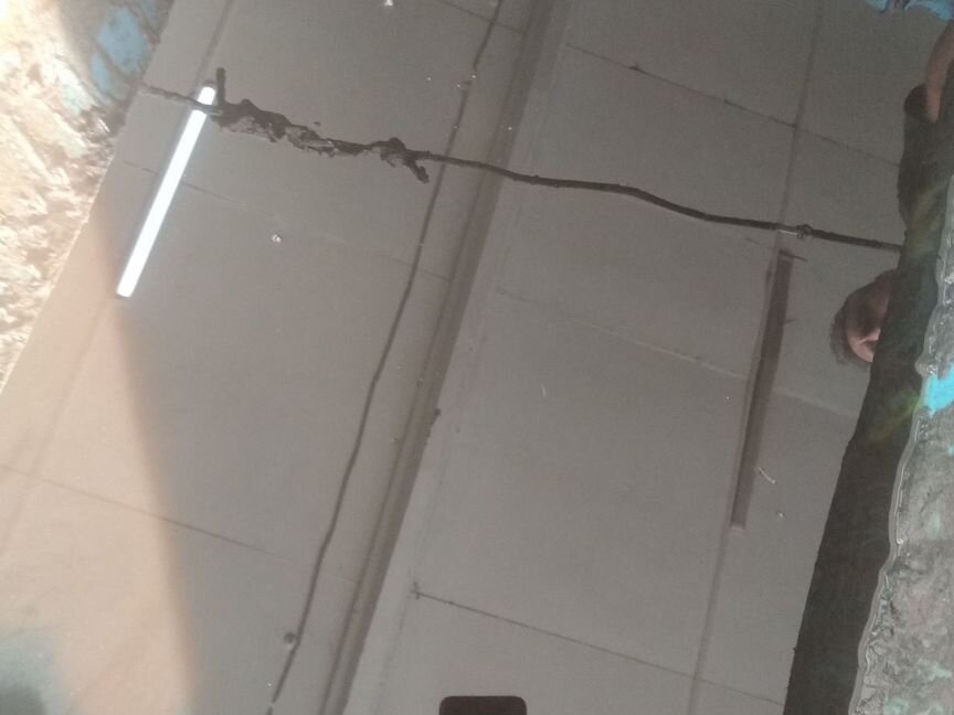 Фуза подсолнечная