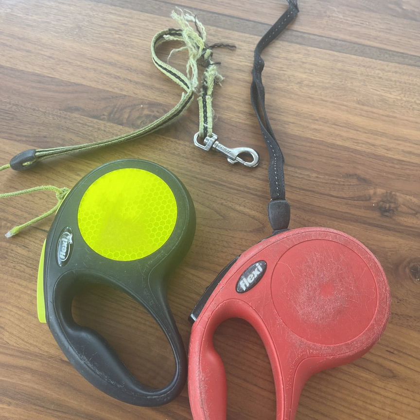 Поводок рулетка для собак flexi