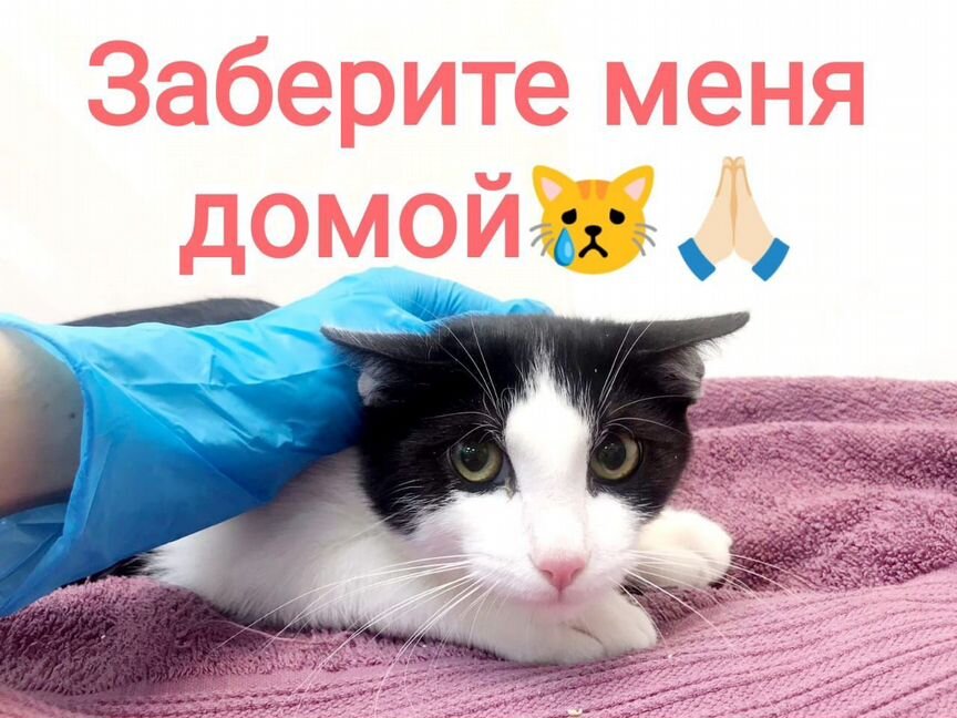 Спасите живую душу малыша (4 месяца)