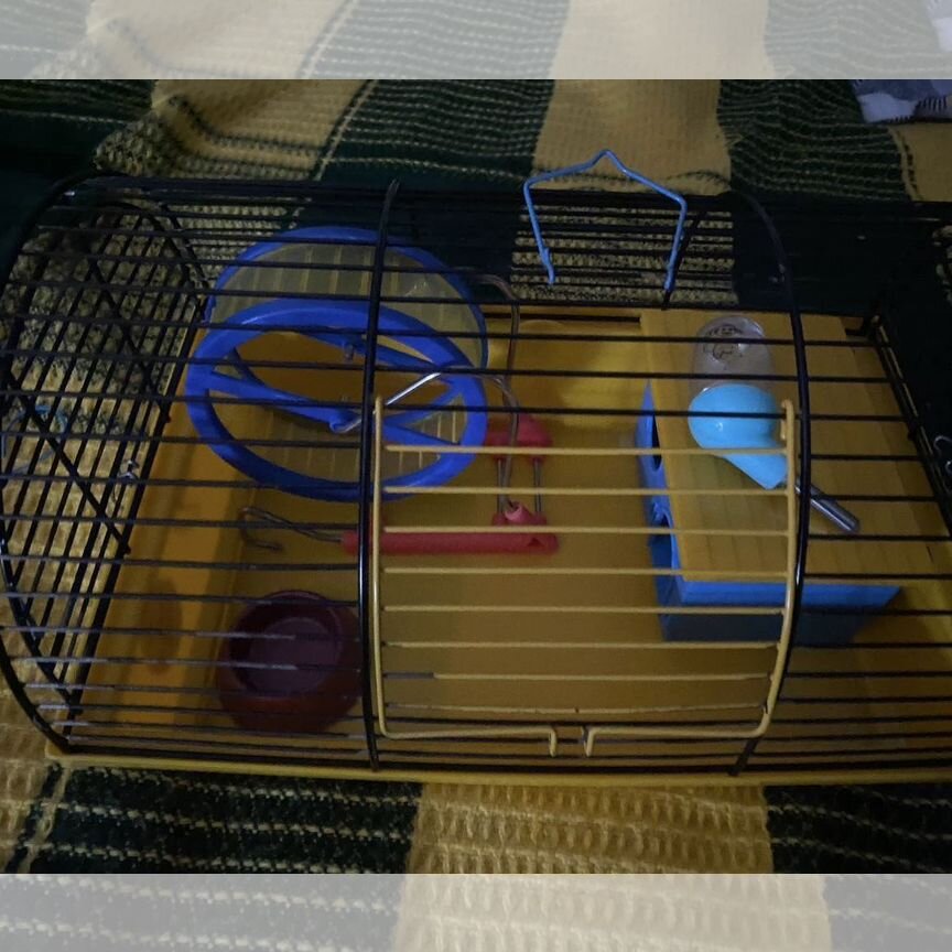 Клетка для хомяка