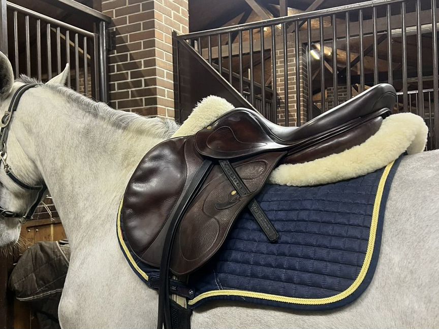 Конкурное седло