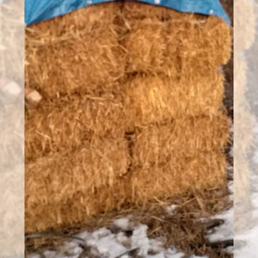 Солома в тюках