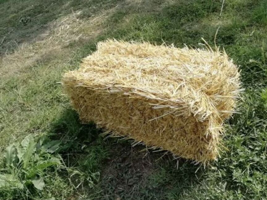Солома в тюках ячменная и пшеничная